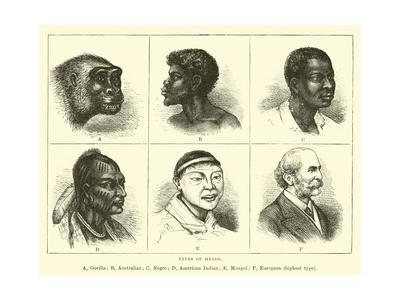 'Types of Heads' Giclee Print | Art.com