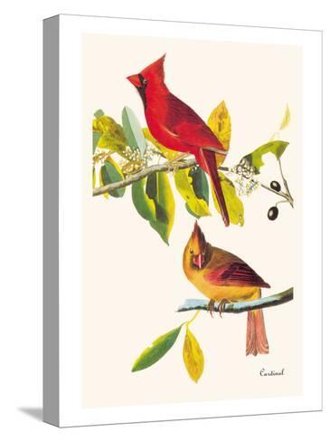 Cardinal Art Print by John James Audubon | Art.com