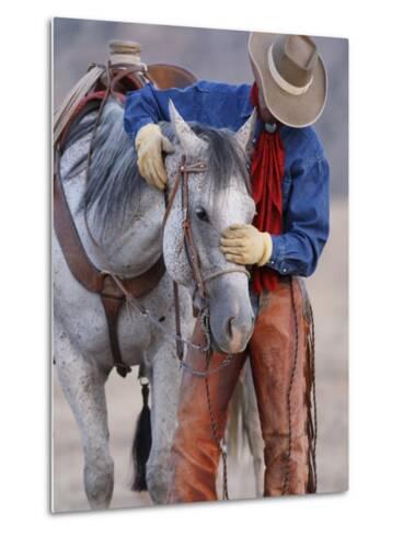 Cowboy Leading and Stroking His Horse, Flitner Ranch, Shell, Wyoming ...
