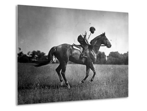 Race Horse Man O' War Photographic Print by | Art.com
