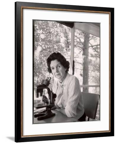 Biologist Author Rachel Carson Working with Microscope at Her Home ...