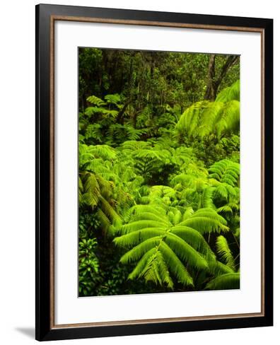 Lush tropical greenery in Hawaii Volcanoes National Park, Big Island ...