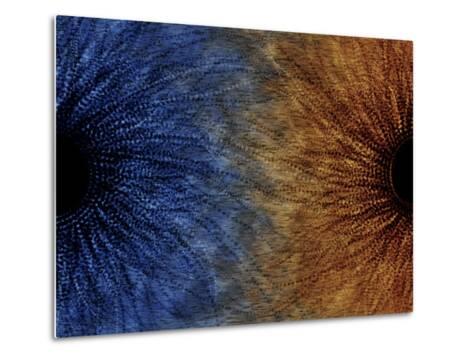 Duality Motif Photographic Print by | Art.com