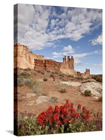 The Three Gossips and Common Paintbrush (Castilleja Chromosa), Arches ...
