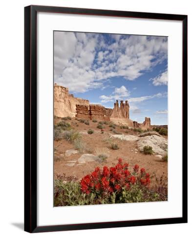 The Three Gossips and Common Paintbrush (Castilleja Chromosa), Arches ...