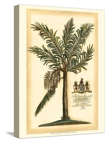 British Colonial Palm II Art Print by | Art.com