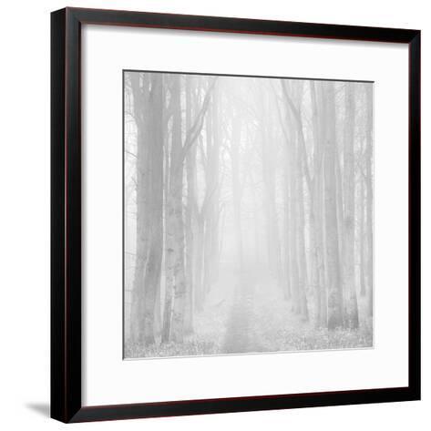 Morning Mists IIi Photographic Print by Doug Chinnery | Art.com
