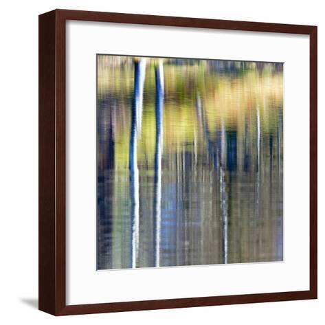 Autumn Reflections Photographic Print by Doug Chinnery | Art.com