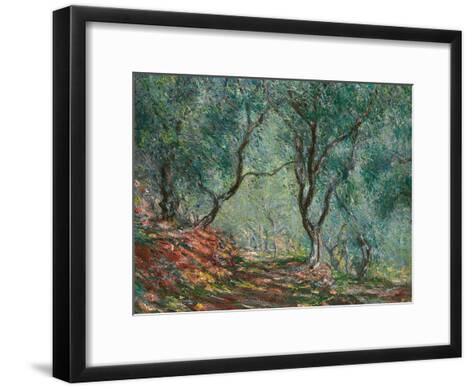 Olive Trees in the Moreno Garden, 1884 Giclee Print by Claude Monet ...