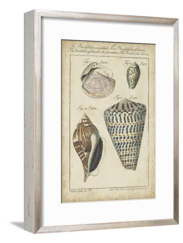 Vintage Shell Study II Art Print by Martini | Art.com