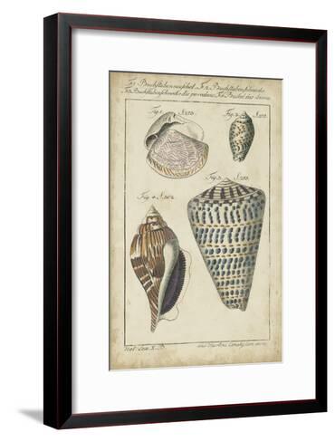 Vintage Shell Study II Art Print by Martini | Art.com