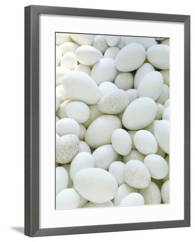 Eggs Photographic Print by David Munns | Art.com