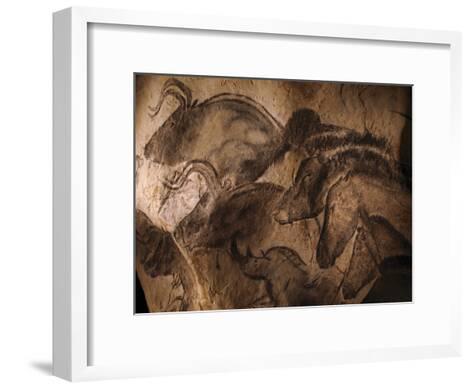 Stone-age Cave Paintings, Chauvet, France Photographic Print by Javier ...