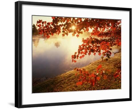 Sunrise Through Autumn Leaves Photographic Print by Joseph Sohm | Art.com