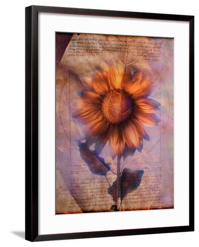 Sunflower and Text Photographic Print by Colin Anderson | Art.com