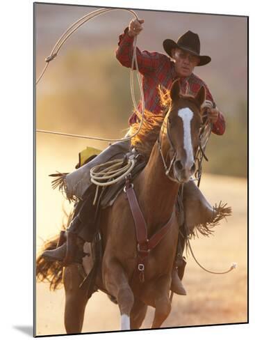 Cowboy Galloping While Swinging a Rope Lassoo at Sunset, Flitner Ranch ...