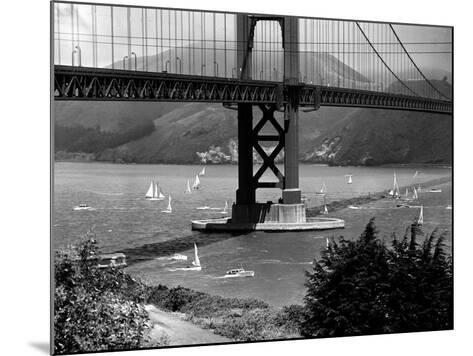 Golden Gate Bridge on Opening Day of the Yacht Season Photographic ...
