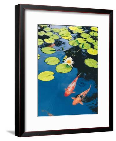 Koi Pond II Photographic Print by Maureen Love | Art.com