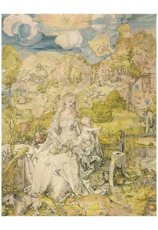 'Albrecht Durer (Madonna with the many animals)' Posters | AllPosters.com