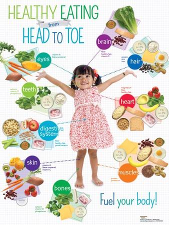 'Preschool Healthy Eating Head to Toe Poster' Photo | AllPosters.com