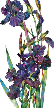 'Rise and Shine' Giclee Print - Sofia Perina-Miller | Art.com