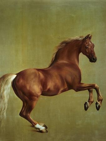'Whistlejacket, 1762' Giclee Print - George Stubbs | Art.com