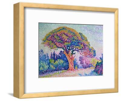 The Pine Tree at St. Tropez, 1909 Giclee Print by Paul Signac | Art.com