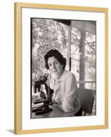 Biologist Author Rachel Carson Working with Microscope at Her Home ...
