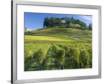 Vineyards, St. Emilion, Gironde, France, Europe Photographic Print by ...