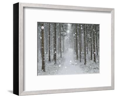 Winter Landscape, Near Villingen-Schwenningen, Black Forest, Baden ...