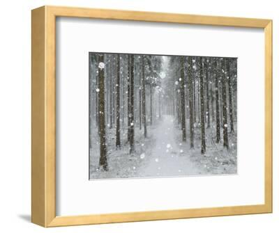 Winter Landscape, Near Villingen-Schwenningen, Black Forest, Baden ...