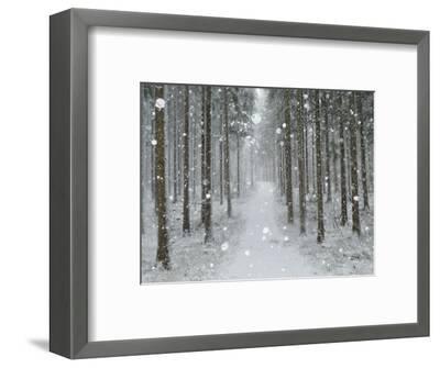 Winter Landscape, Near Villingen-Schwenningen, Black Forest, Baden ...