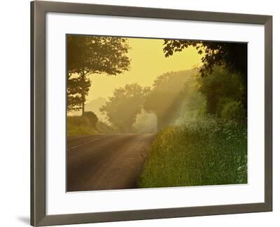 The Road Not Taken Photographic Print by Doug Chinnery | Art.com