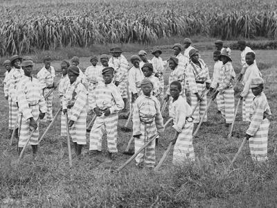 Juvenile Southern Chain Gang Convicts at Work in the Fields, Ca. 1903 ...