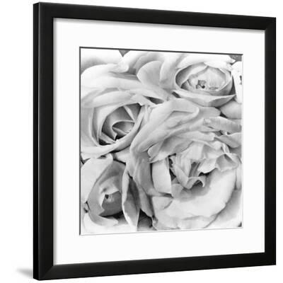 Roses, Mexico City, 1924 Photographic Print by Tina Modotti | Art.com