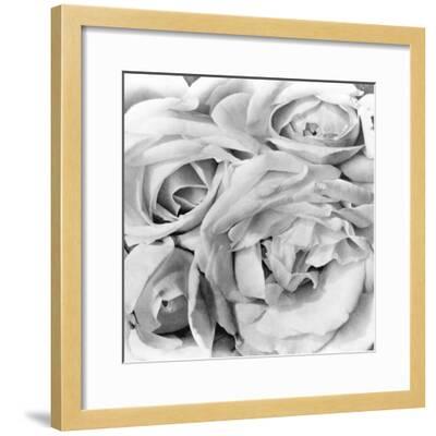 Roses, Mexico City, 1924 Photographic Print by Tina Modotti | Art.com