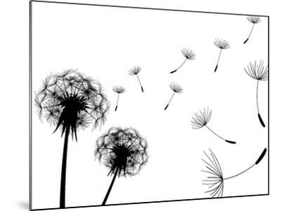 Blow Dandelions On White Background Art Print by Sergey Kolesov | Art.com