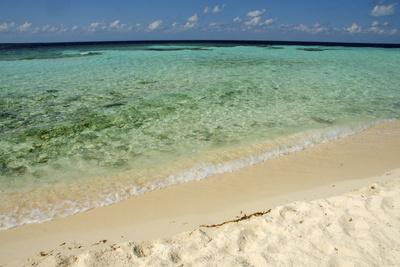 'Sandy Beachfront View, Goff Caye, Belize' Photographic Print - Cindy ...