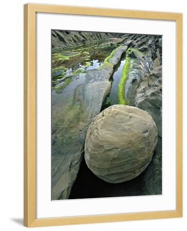 Smooth Sandstone Boulder, Shore Acres State Park, Oregon, USA ...