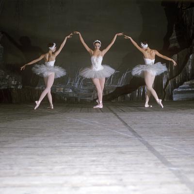 'Ballet Dancers Performing a Scene from Swan Lake' Photographic Print ...