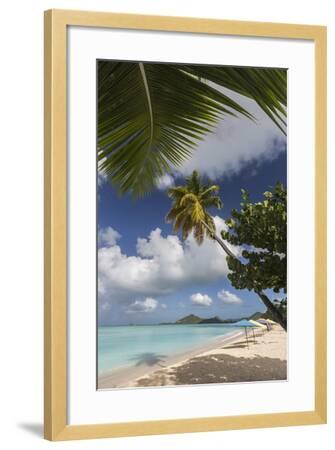 The Branches of the Palm Trees Create Shade on the Beach of Valley ...