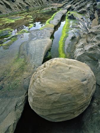 'Smooth Sandstone Boulder, Shore Acres State Park, Oregon, USA ...