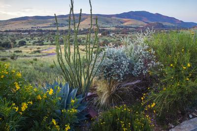 Jeff Davis County, Texas. Davis Mountains and Desert Vegetation ...