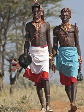 Two Samburu Warrior of Northern Kenya in All their Finery; Photographic ...