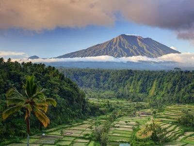 'Indonesia, Bali, Rendang Rice Terraces and Gunung Agung Volcano ...