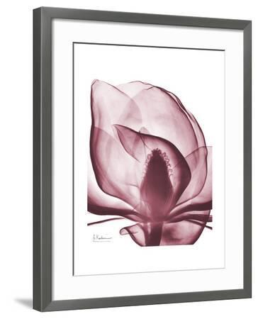 Marcela Magnolia Art Print by Albert Koetsier | Art.com