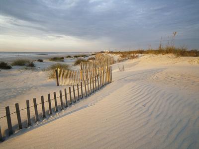 USA, South Carolina, Huntington Beach State Park Premium Photographic ...