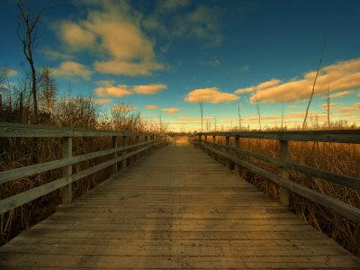 'Marsh Path' Photographic Print - Irene Suchocki | Art.com