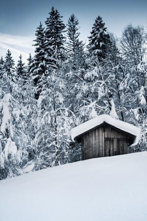 'Snow Shelter' Photographic Print - Craig Howarth | Art.com