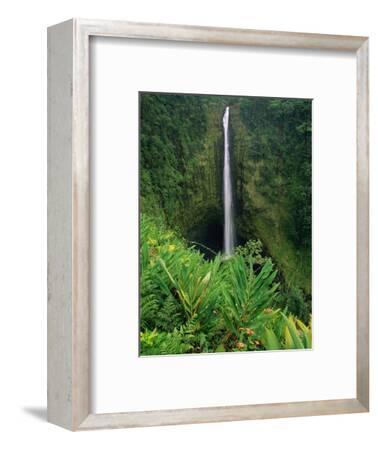 Akaka Falls Photographic Print by Joseph Sohm | Art.com